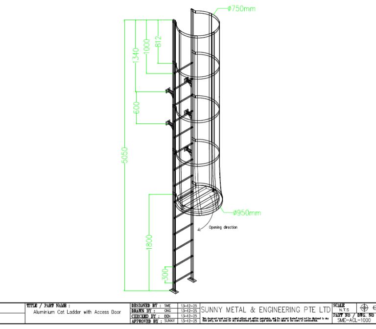 Aluminium Cat Ladder with Access Door | Singapore